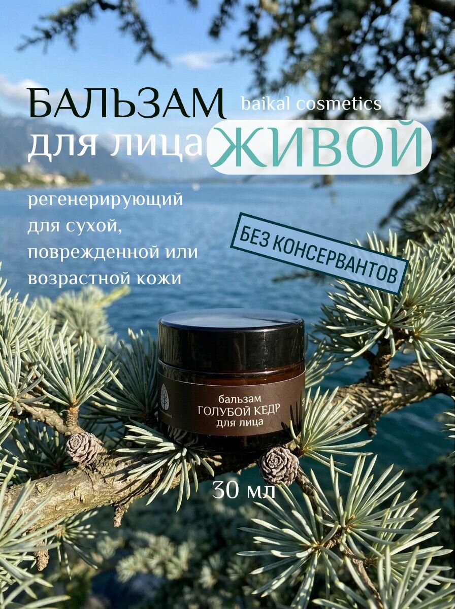 Baikal cosmetics, Бальзам - крем для лица Голубой кедр, регенерирующий для сухой, поврежденной или возрастной кожи, с кедровым маслом и кедровой живицей 30 мл
