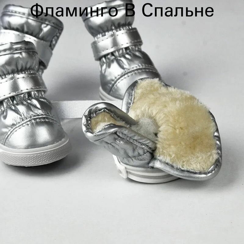 Кеды для собак Freedogs (Размер 2) — фото 1
