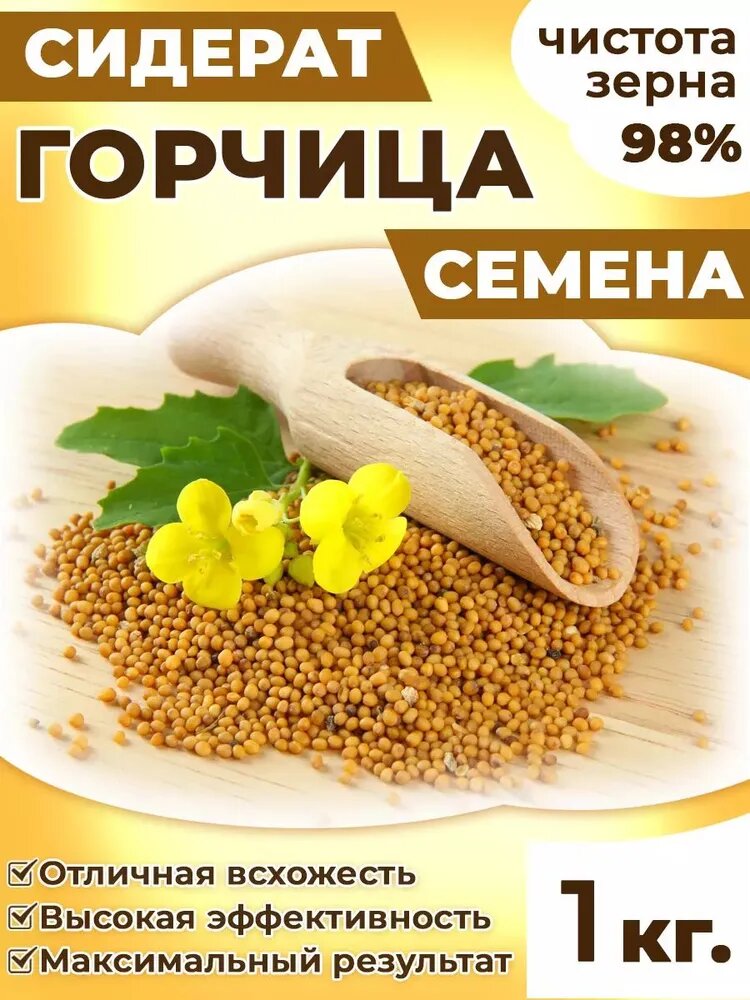 Горчица семена сидерат для посева 1кг.