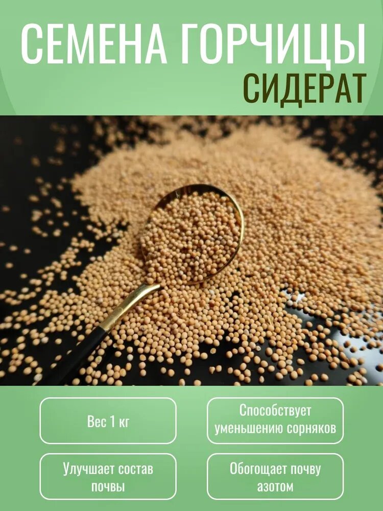 Семена горчицы белой сидерат для посева, для еды, для консервирования, 1 кг