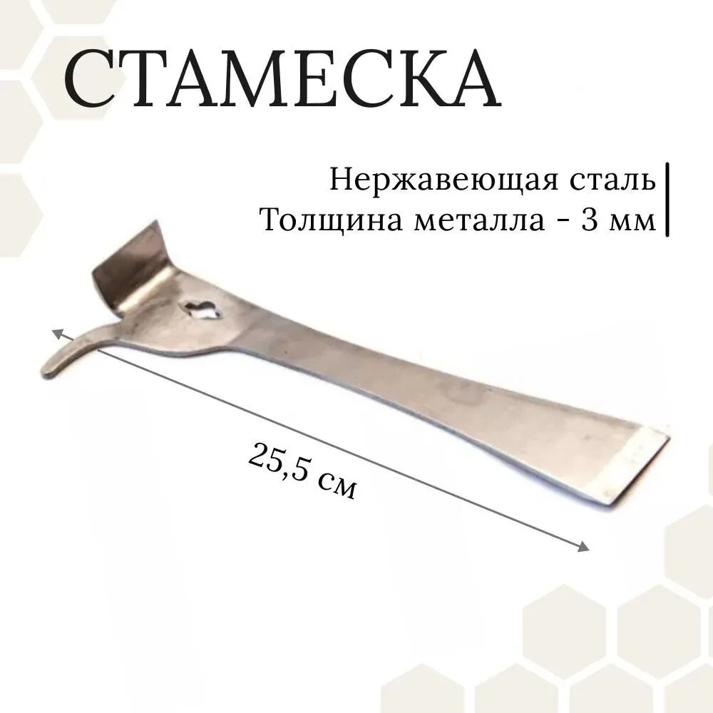 Стамеска пасечная
