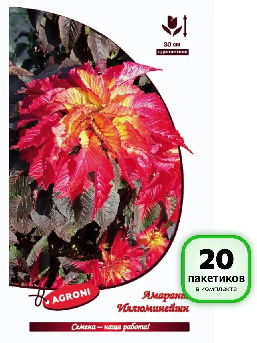 (20 шт.) - Семена Амарант Иллюминейшн (0,1г)