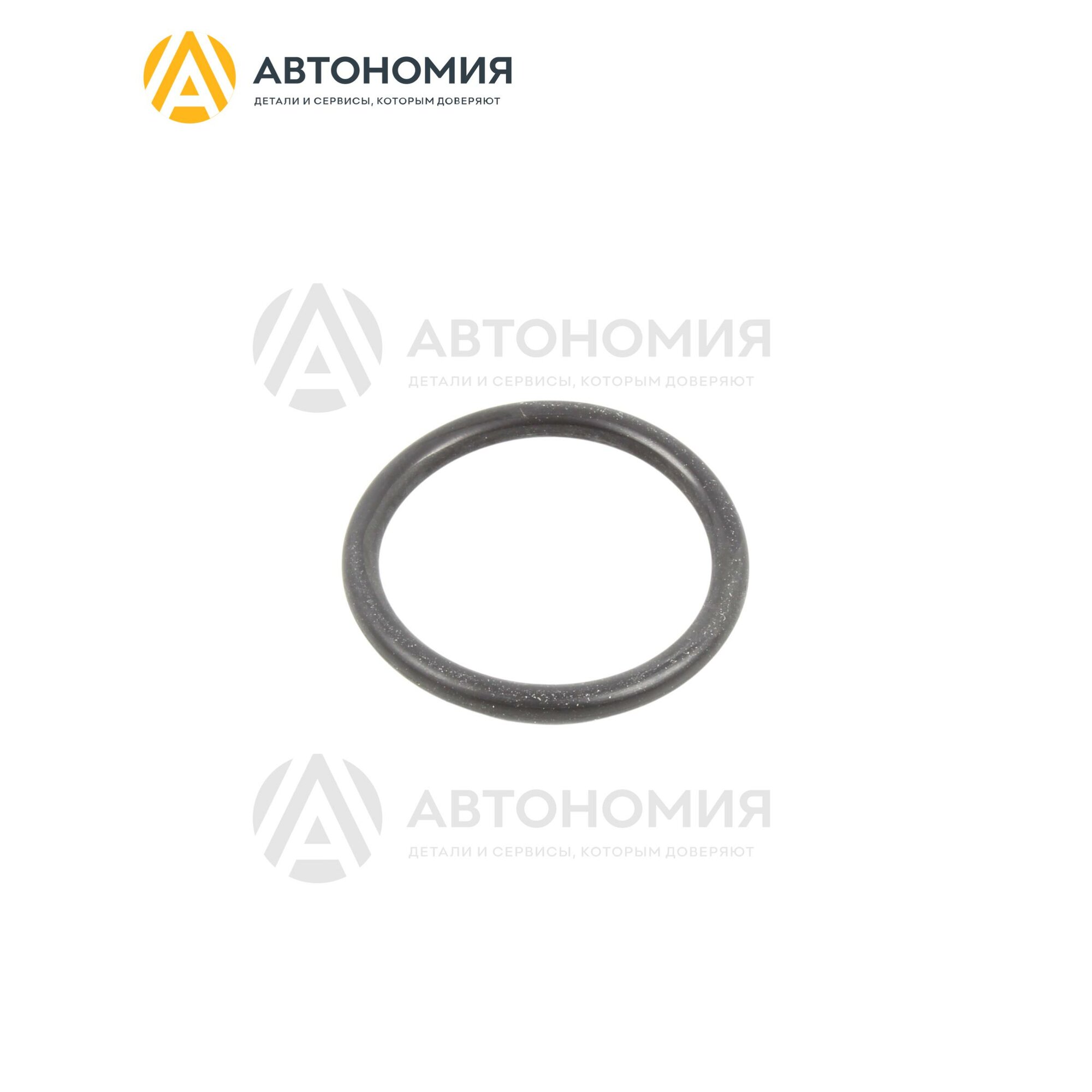 Кольцо уплотнительное 31х3 VAG WHT 006 998