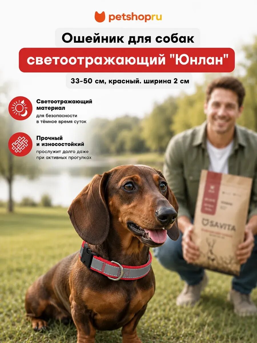 Tappi Ошейник для собак светоотражающий "Юнлан", 30-50 см