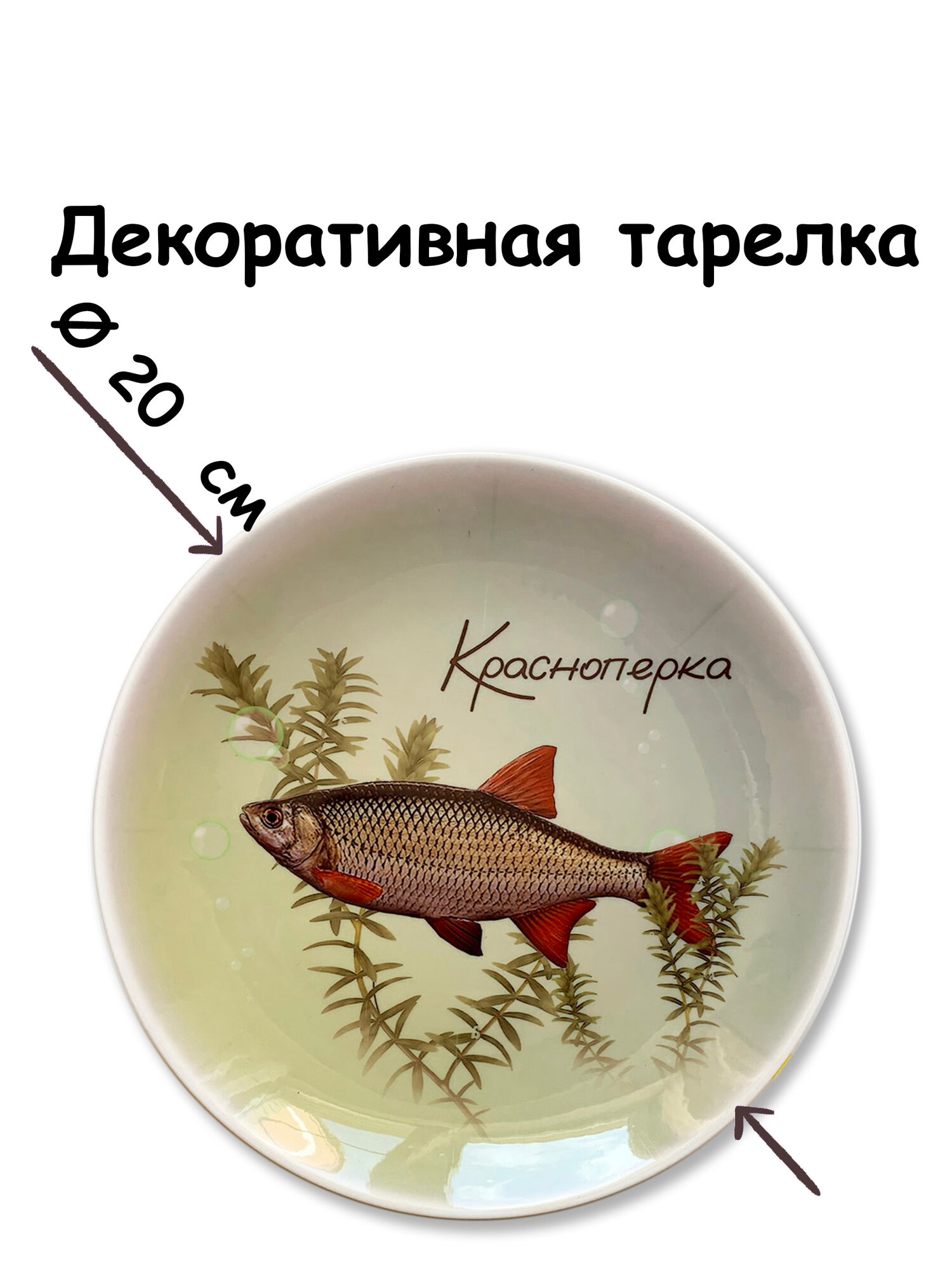 Декоративная настенная тарелка с изображением красноперки