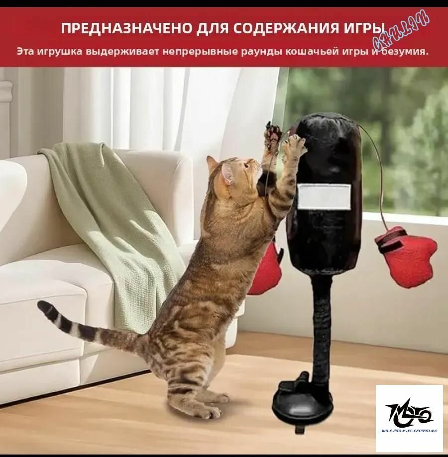 Боксерская груша для котов — фото 1