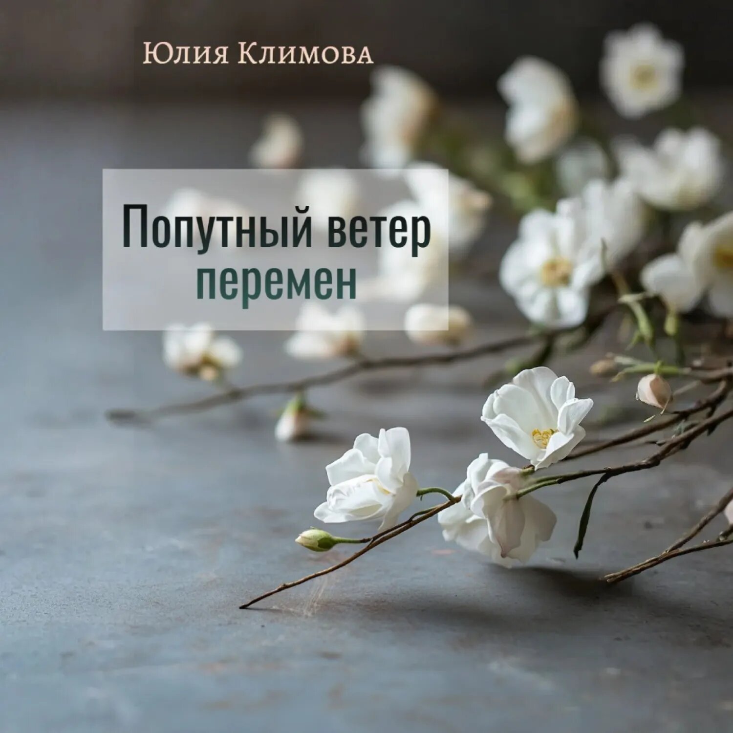 Попутный ветер перемен [Аудиокнига]