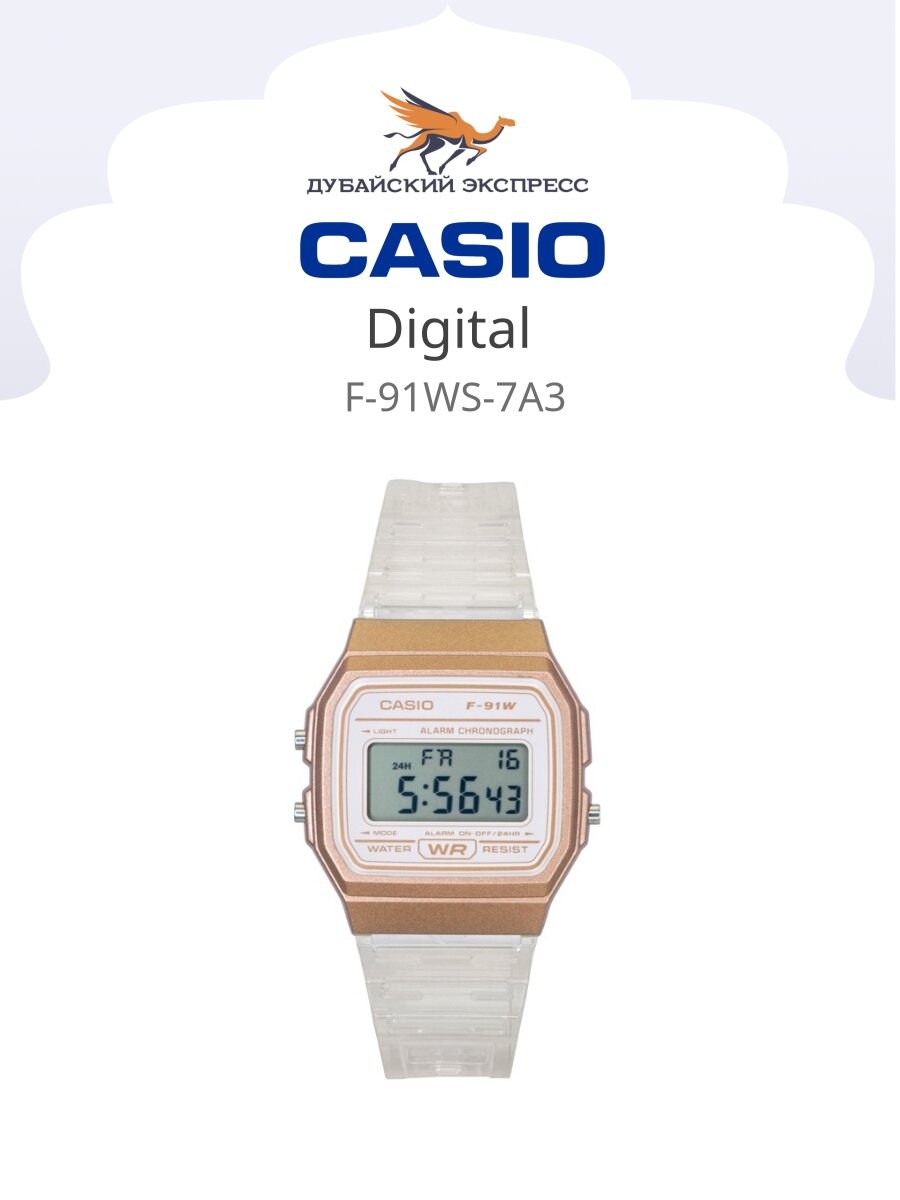  CASIO