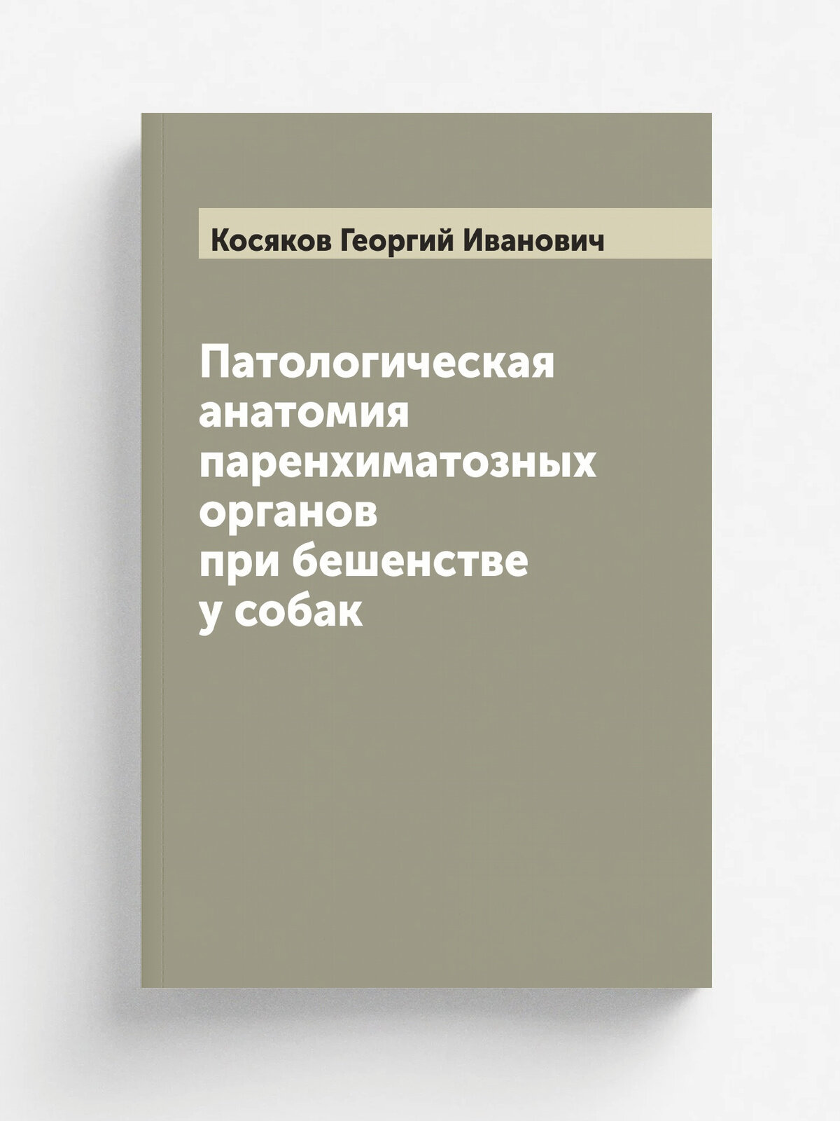 Патологическая анатомия паренхиматозных органов при бешенстве у собак
