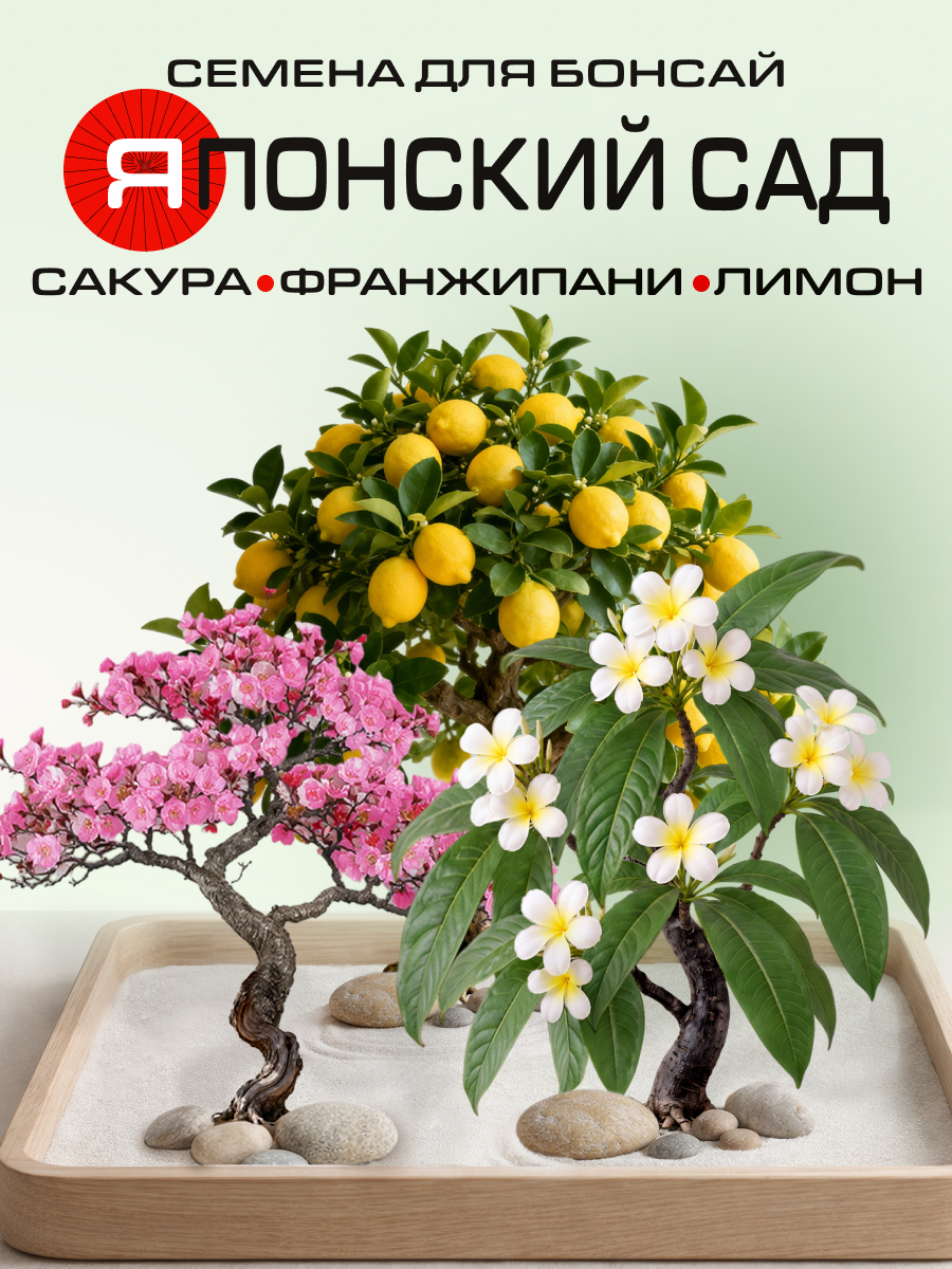 Набор семян для выращивания растений бонсай. Сакура, Лимон, Франжипани