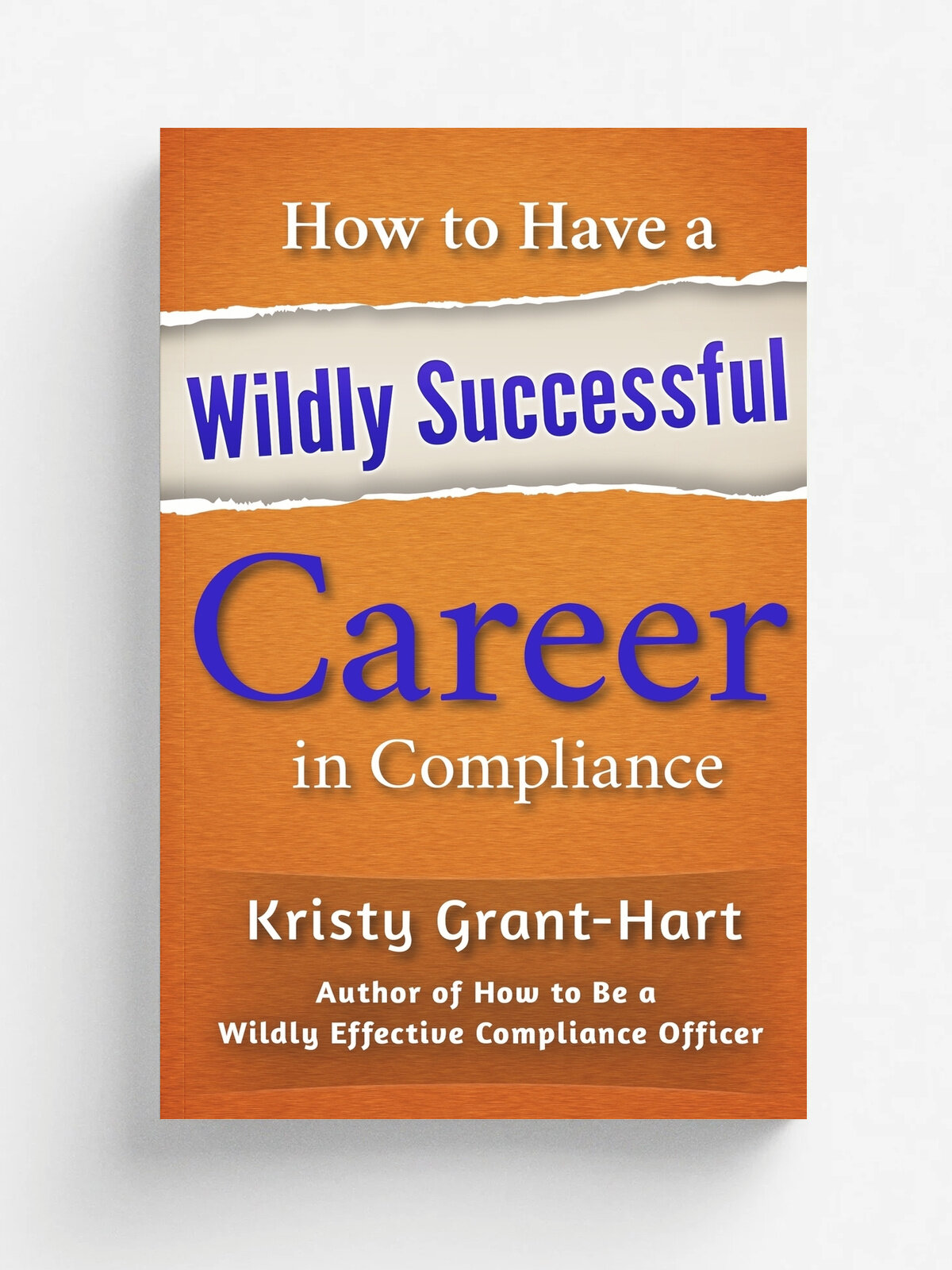 How to Have a Wildly Successful Career in Compliance