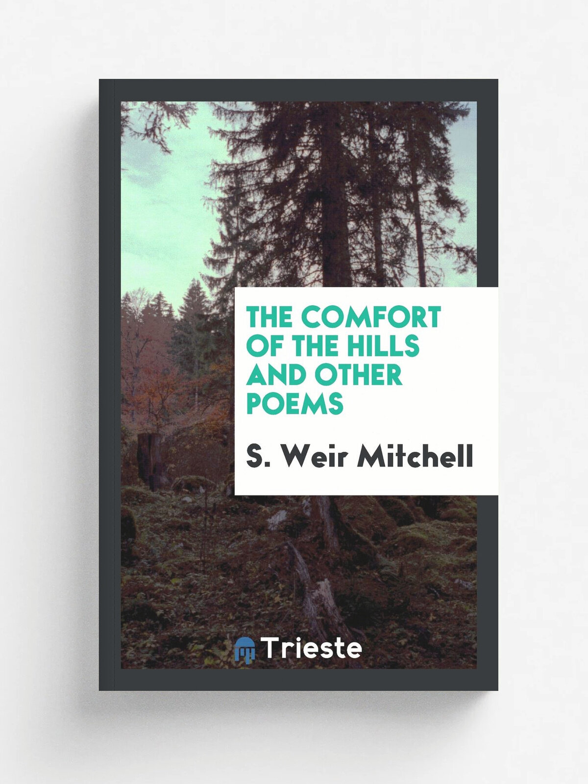 The Comfort of the Hills and Other Poems