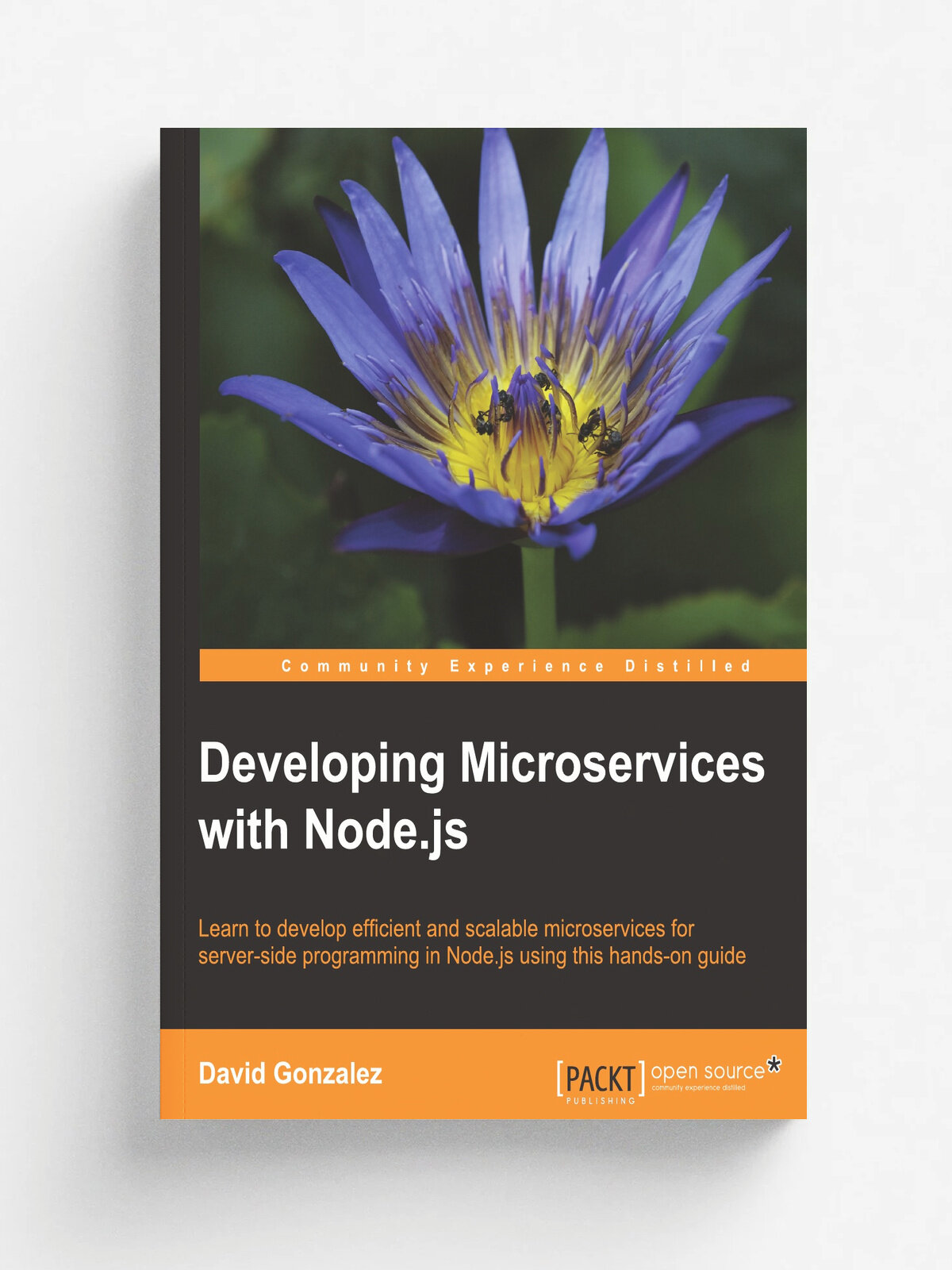 Developing Microservices with Node.js