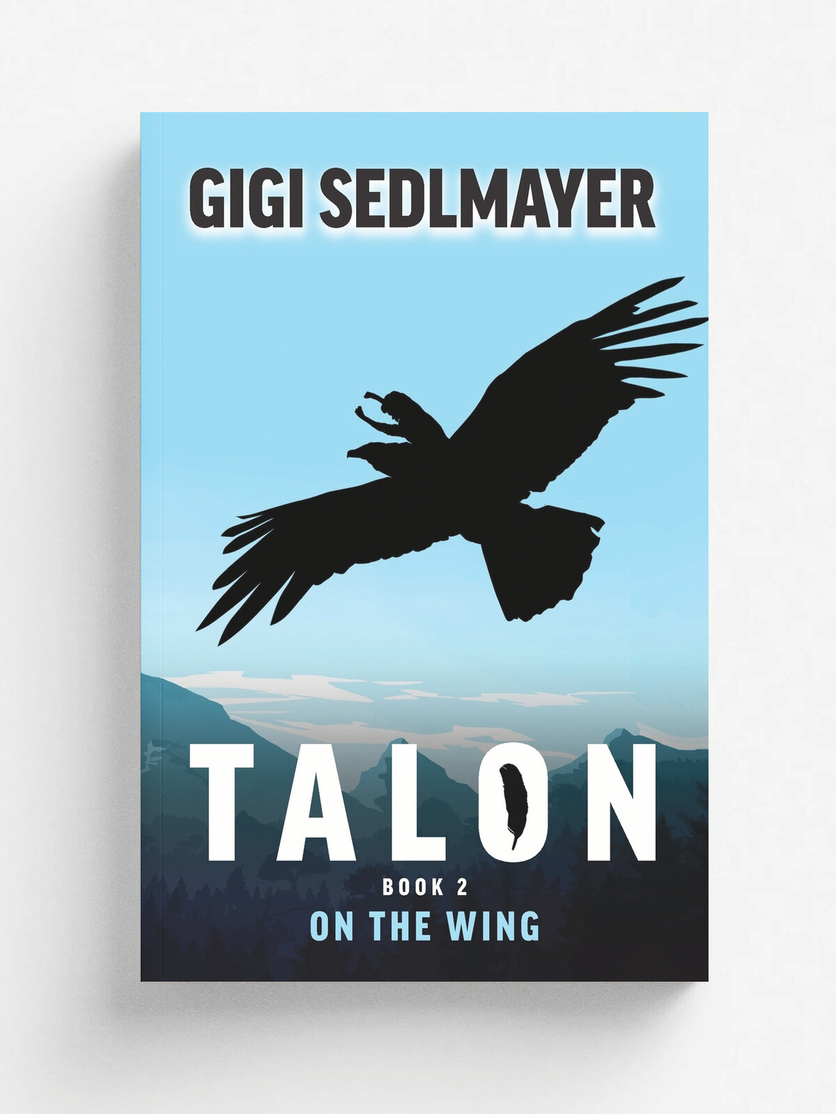Talon, on the Wing. A book about adventure and friendship