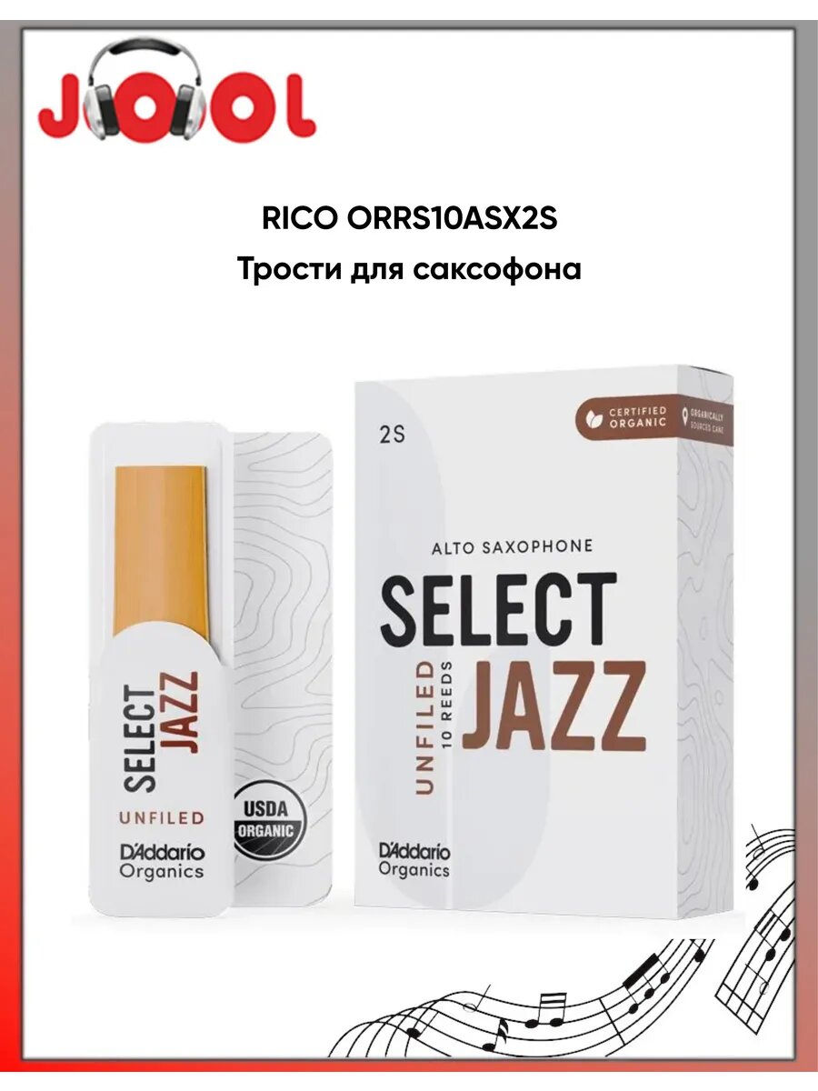 RICO ORRS10ASX2S - Трости для саксофона