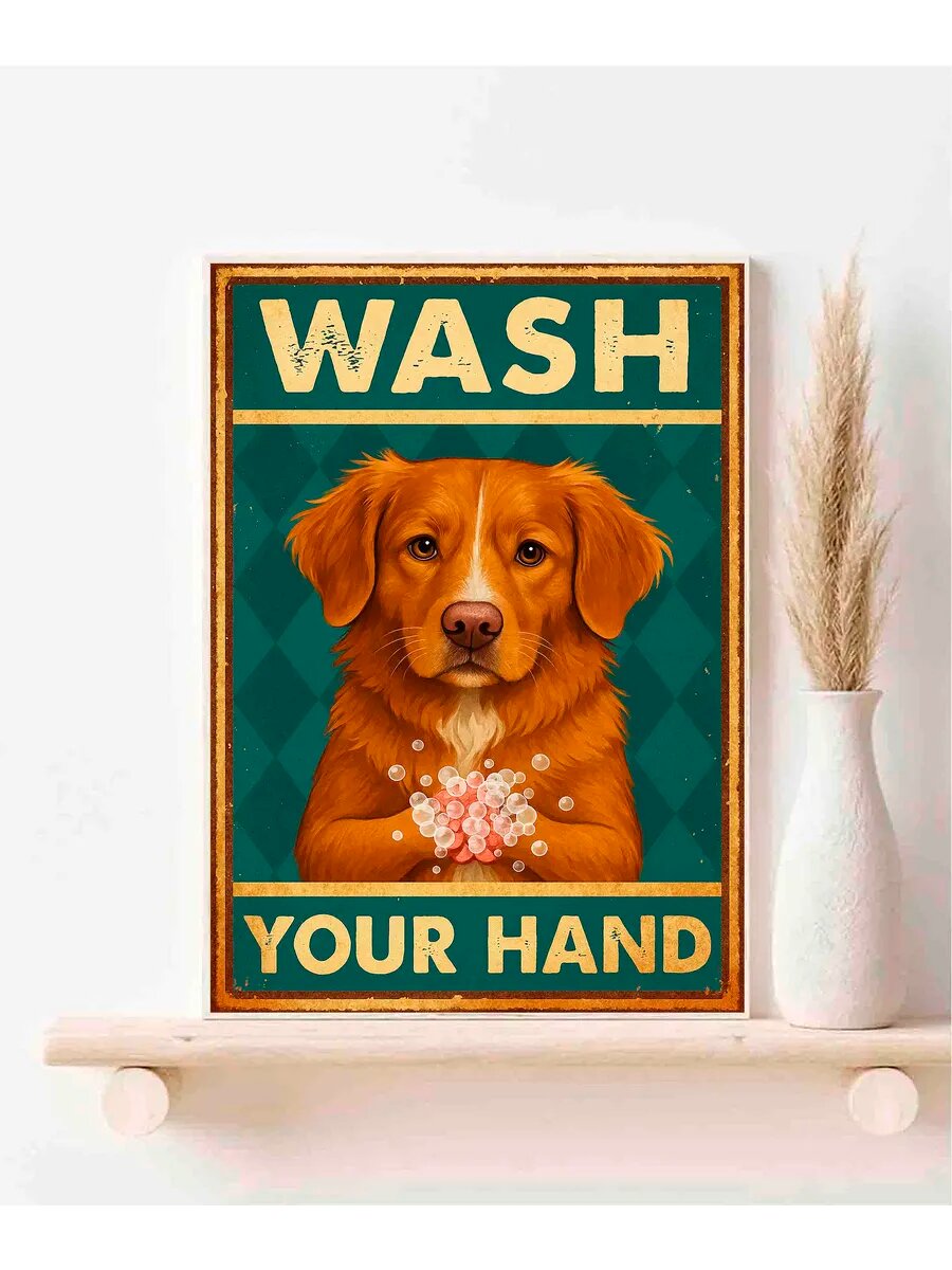 Ретривер новошотландской утки Толлинг Д, Wash Your Hand, Пла