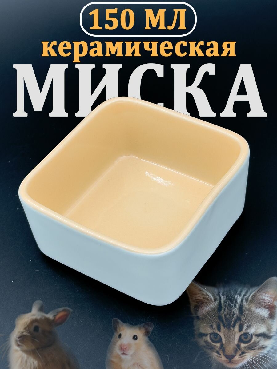 Миска керамическая для кошек, птиц, грызунов