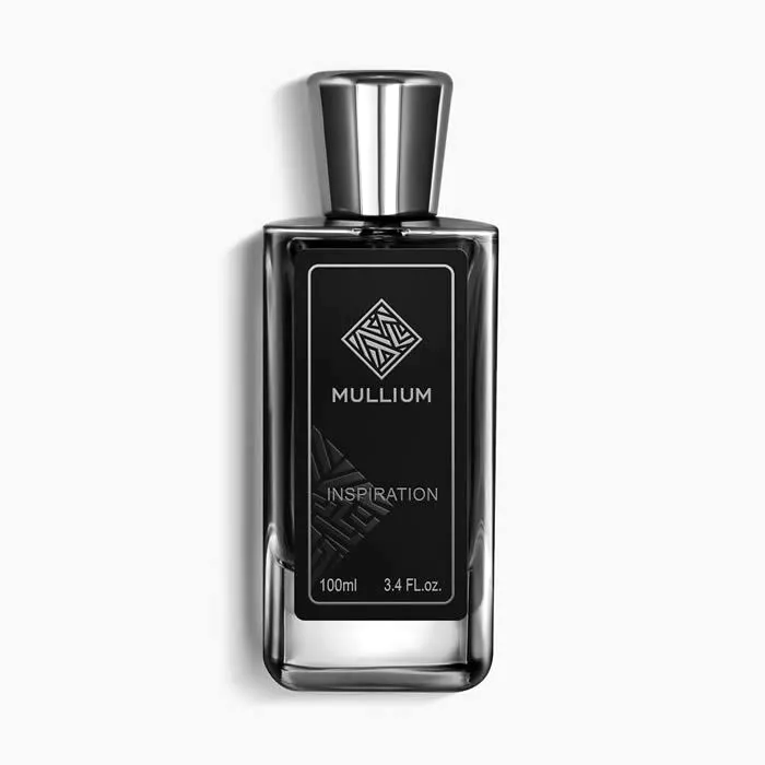 Мужские духи Mullium Inspiration 100 мл / Муллиум Инспирейшн