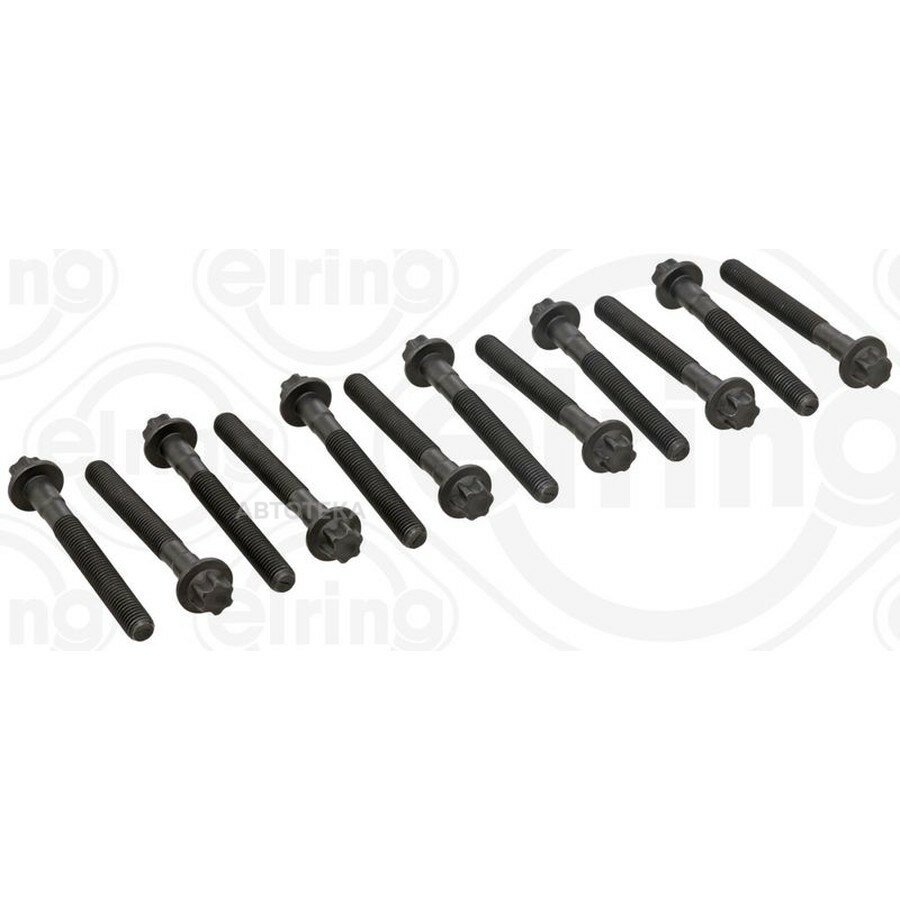 Болт ГБЦ MB C/E/G(W203/W210/W211/W163/W463)/SPRINTER 99- 2.7CD (компл. 12 шт.) ELRING 760120