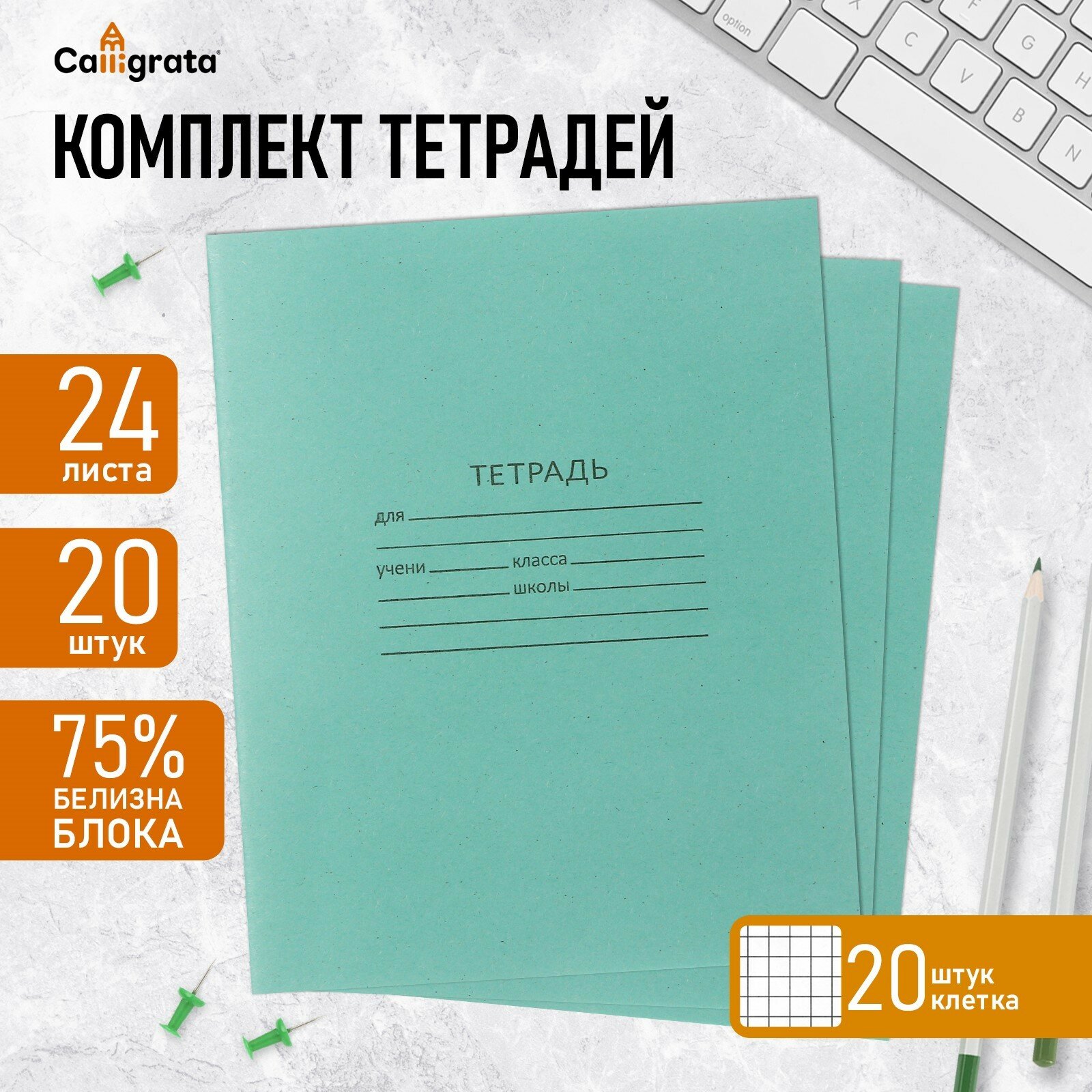 Набор тетрадей «Зелёная обложка» 20 штук, 24 листа в клетку, эконом, плотность 60 г/м²