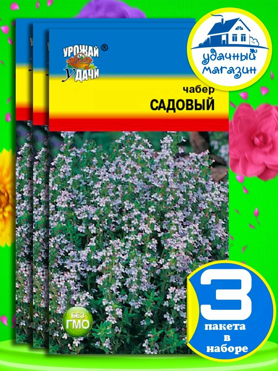 Семена чабера садового