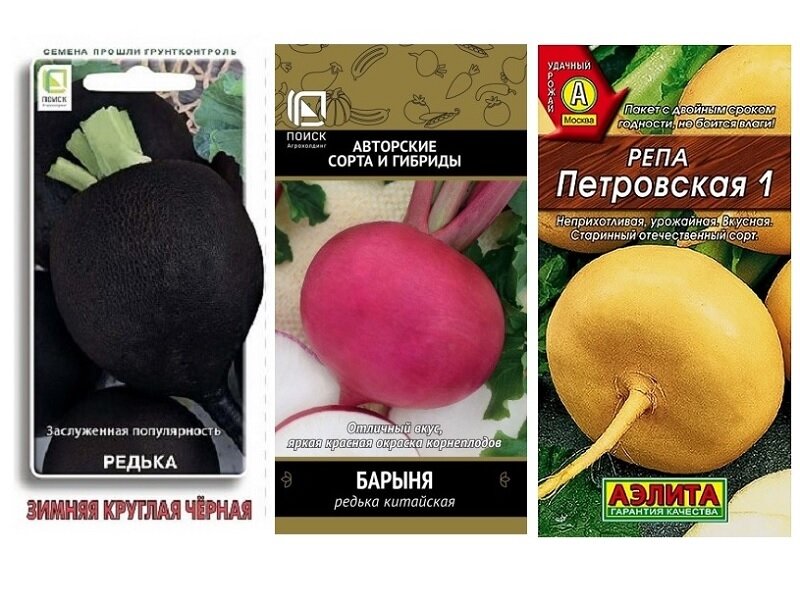 Набор семян овощей Здоровье Огородника (Репа Петровская , Редька Барыня Китайская, Редька Зимняя Круглая Чёрная)