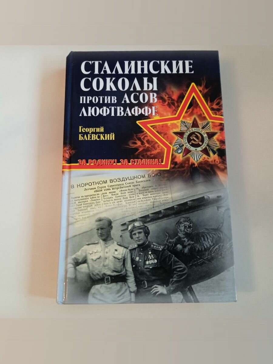 Сталинские соколы против асов Люфтваффе
