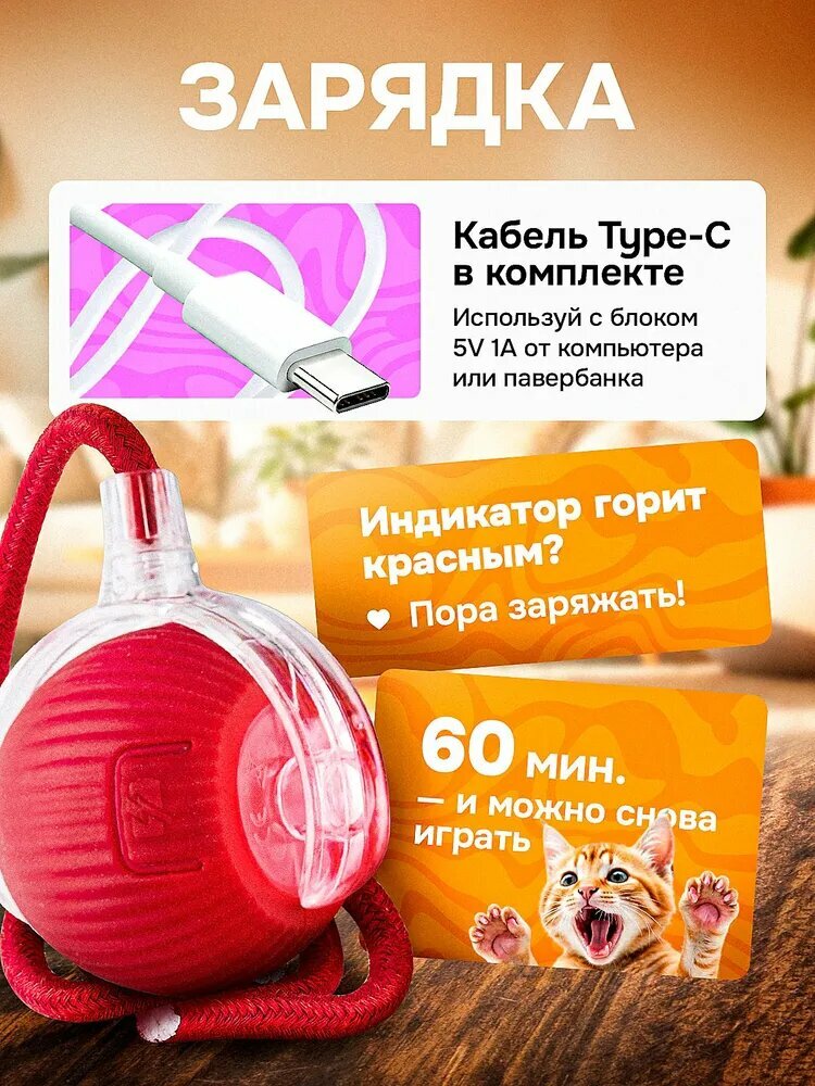 Игрушка для животных — фото 1