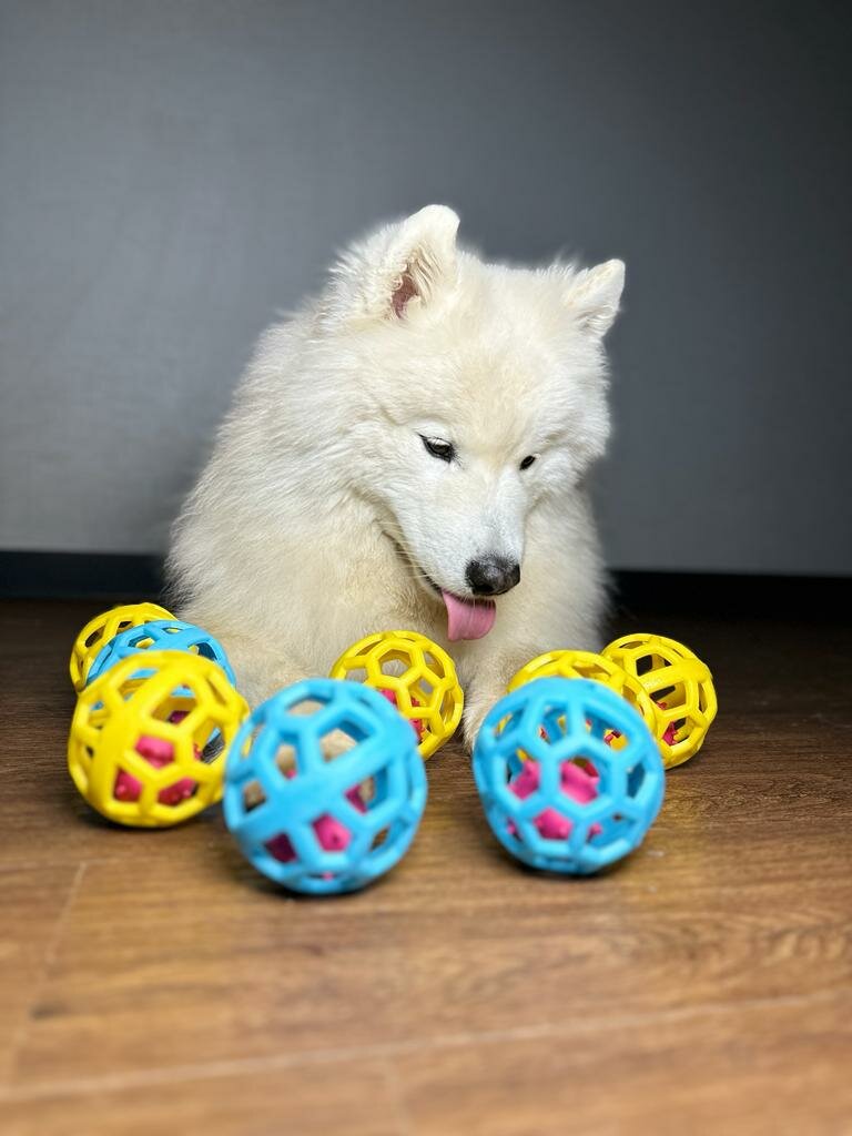 Мячик-погремушка для собак. Прочный прыгучий мяч с бубенчиком внутри. Жевательный. Грызунок. Для любых размеров и пород. Для чистки зубов. Неубиваемый. Интерактивный. Со звуком