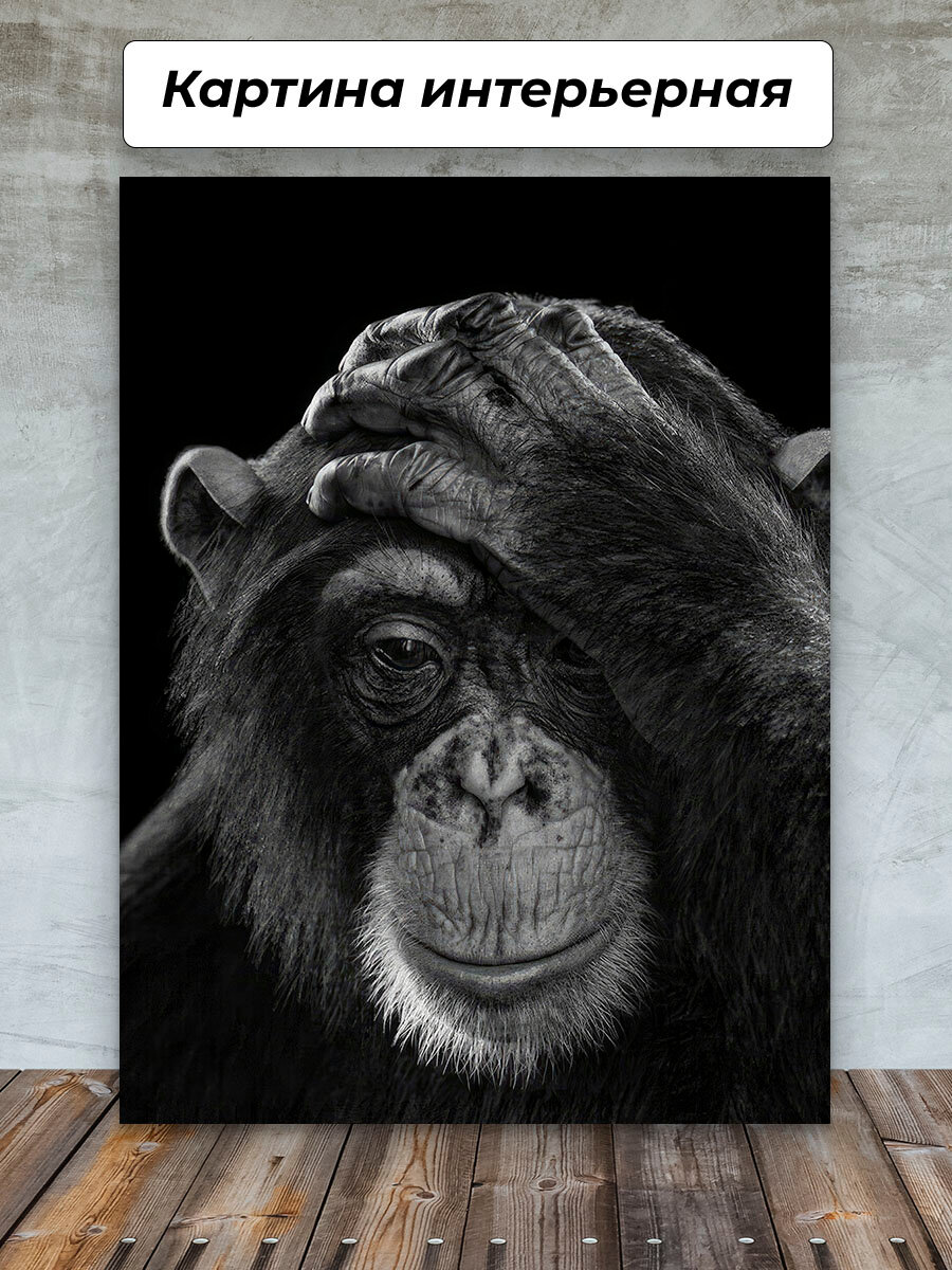 Картины для интерьера 40х60 Обезьяна держится за голову черный фон