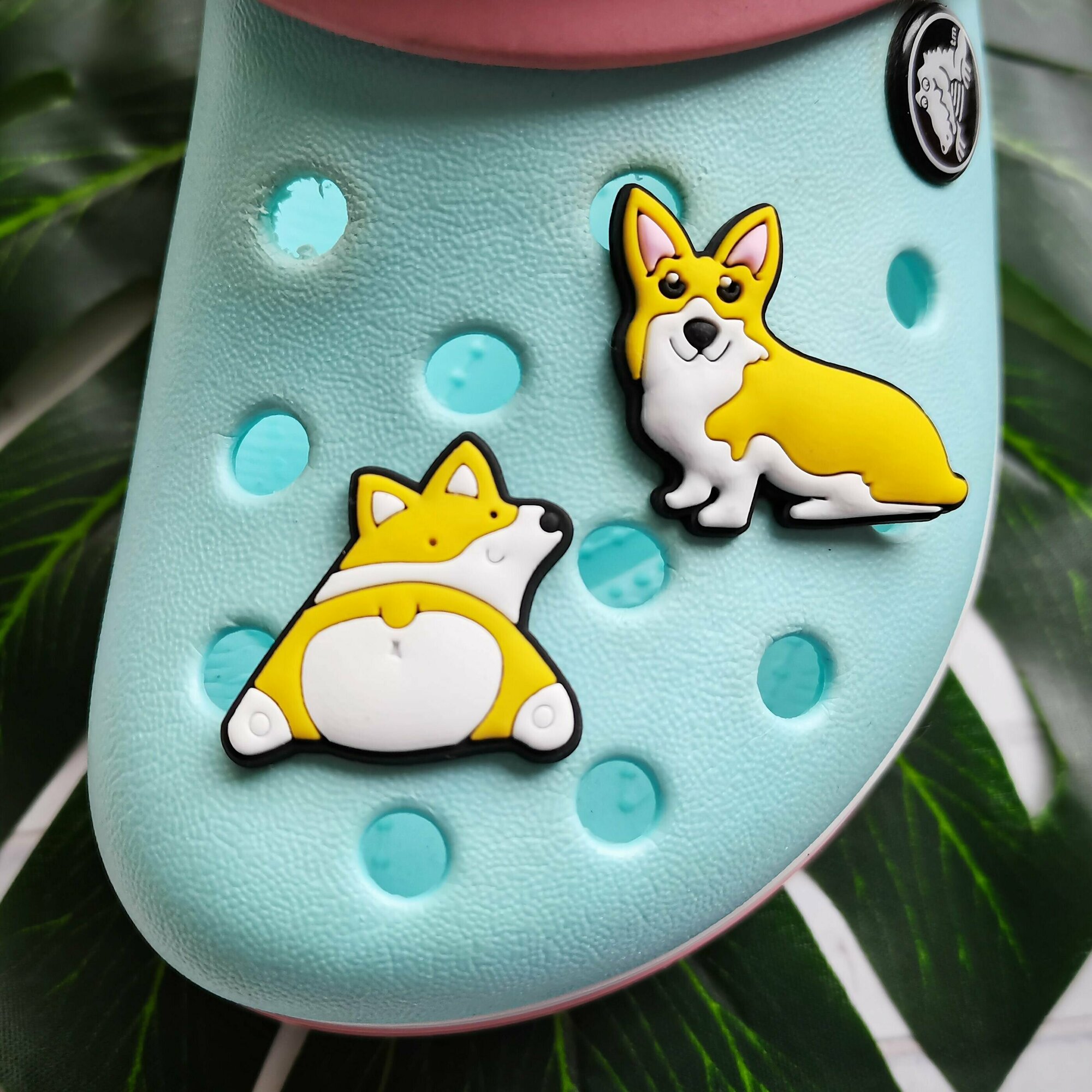 Джибитсы корги на Crocs — фото 1