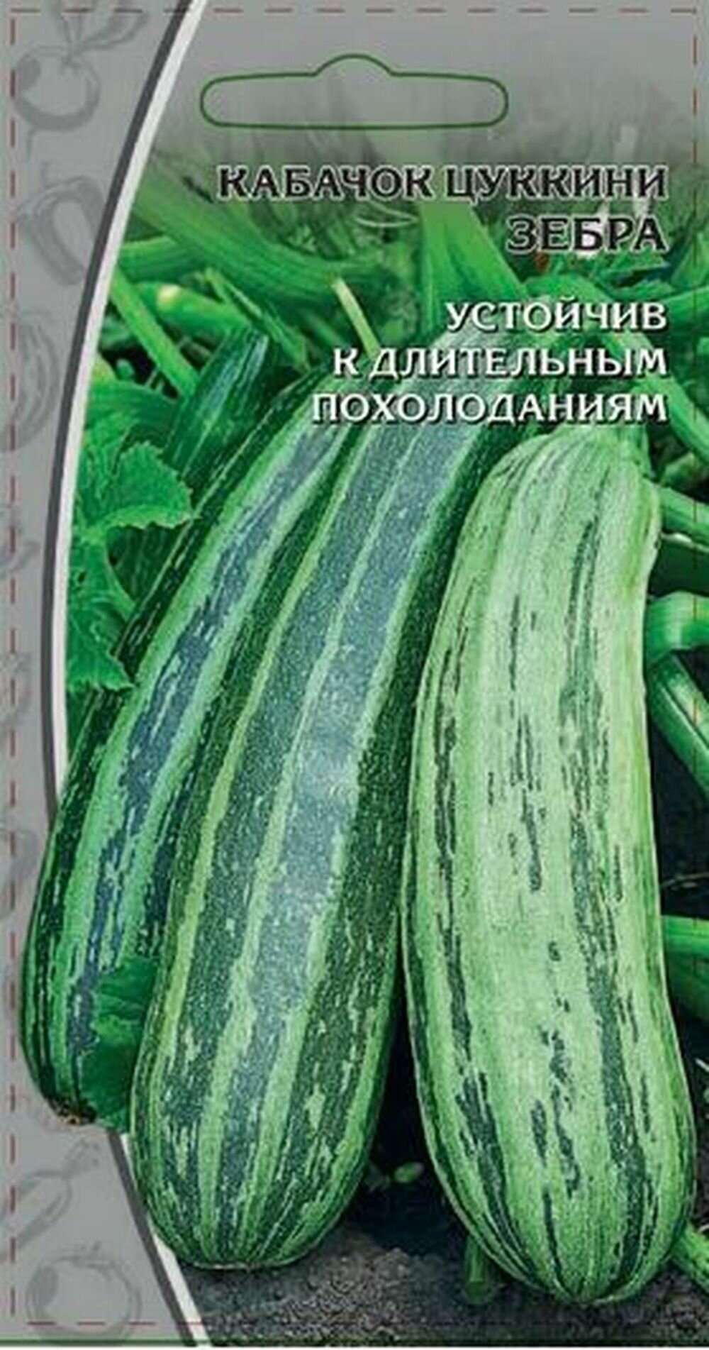 Кабачок Зебра, 1г — фото 1
