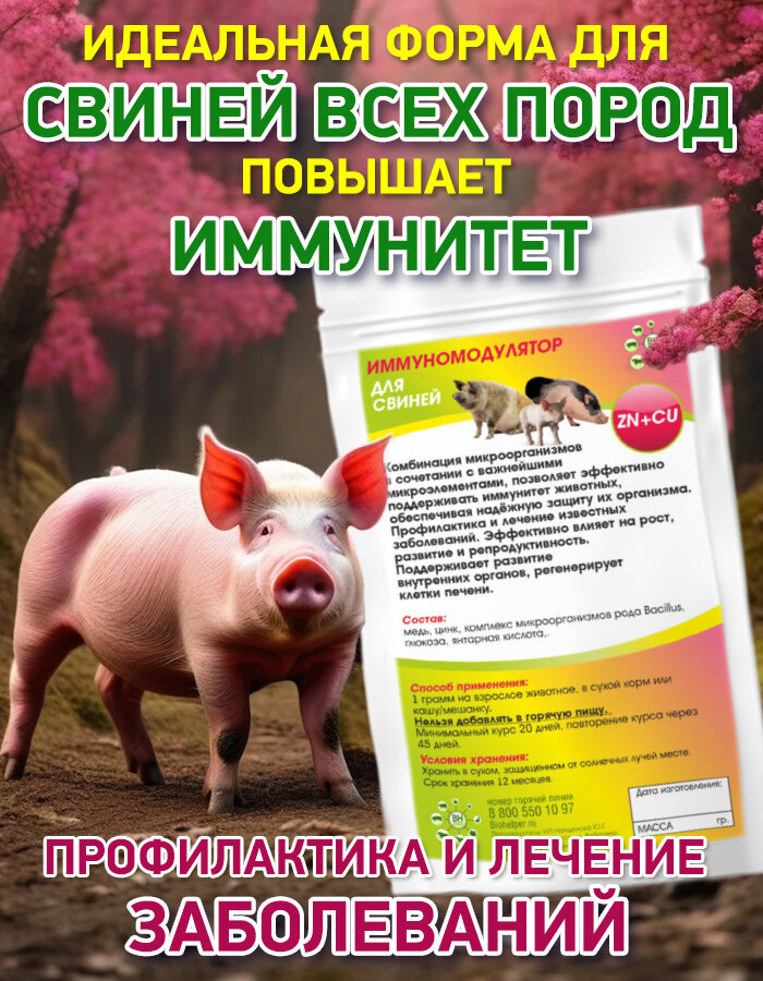 Иммуномодулятор для свиней 100 гр