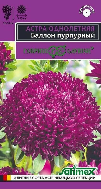 Семена растения Астра Баллон пурпурный