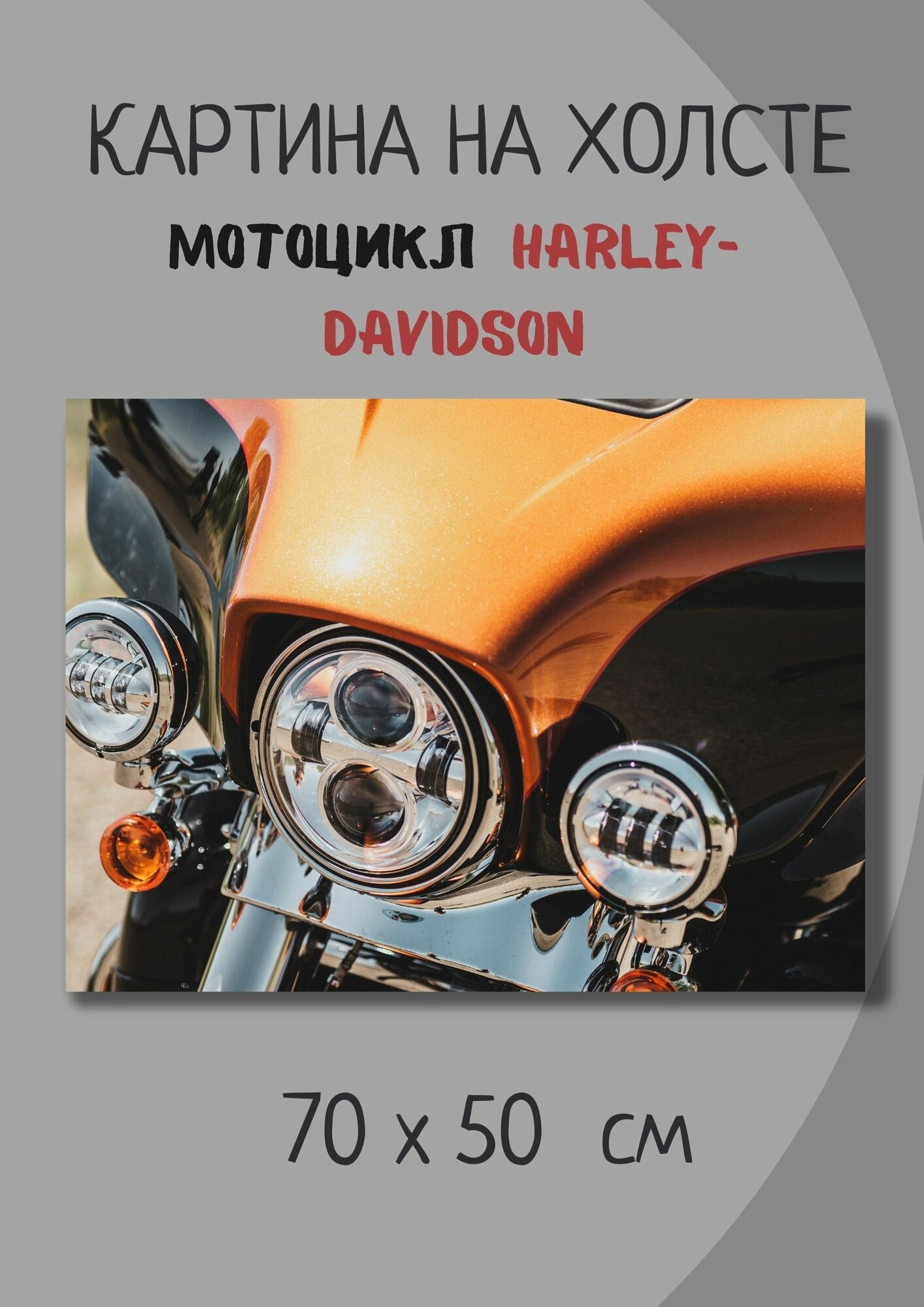 Фотокартина с красивым мотоциклом "Харлей Дэвидсон" 70х50 для интерьера