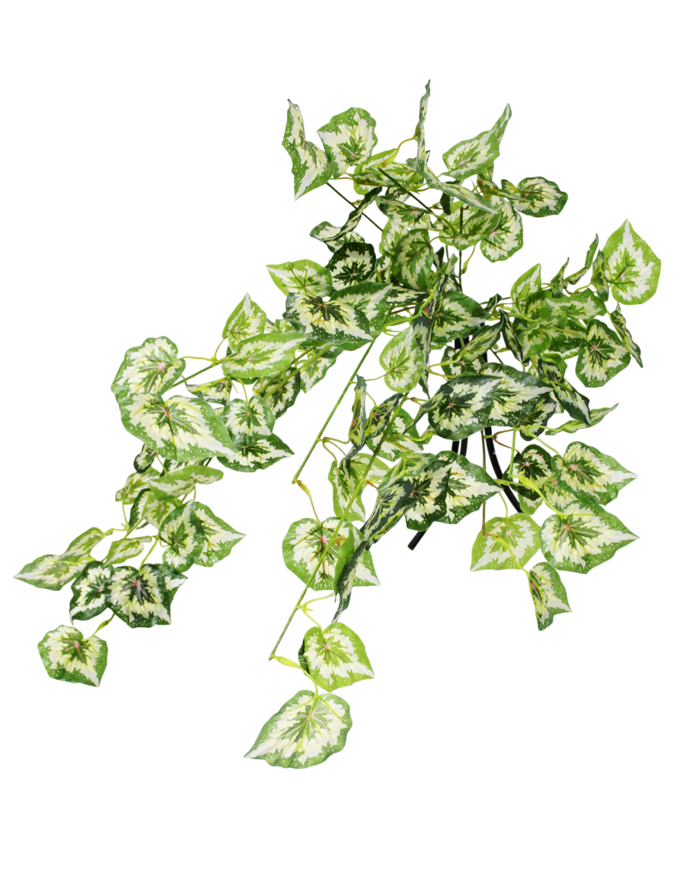 Бегония ампельная, 80 см, бренд CONEKO - декор для дома и офиса