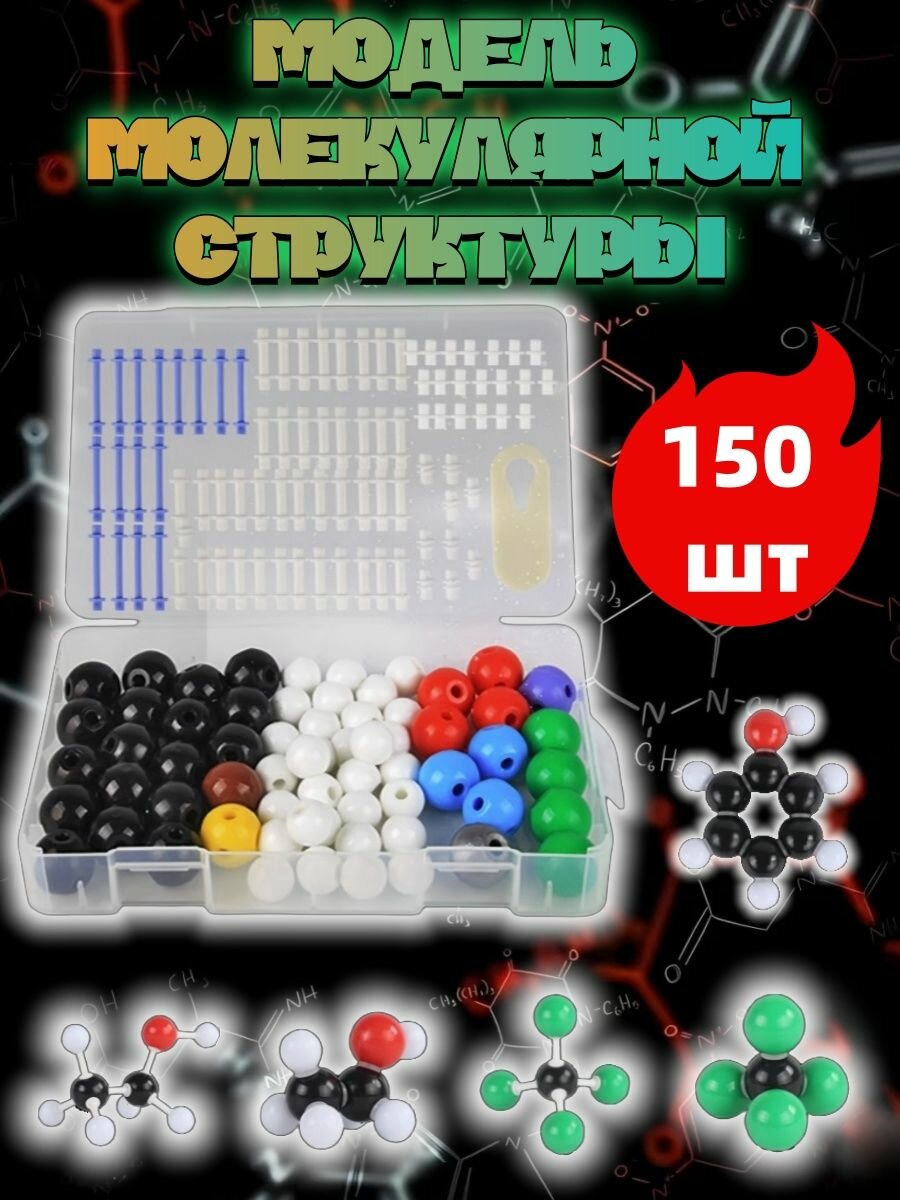 Анатомическая модель