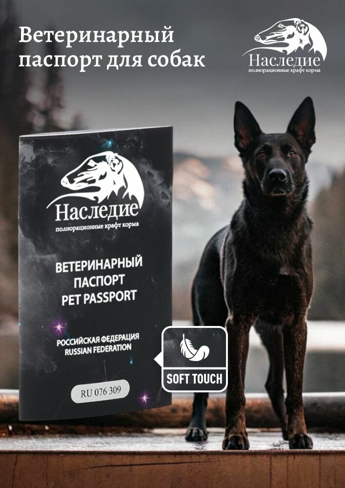 Ветеринарный паспорт для собак. Международный.
