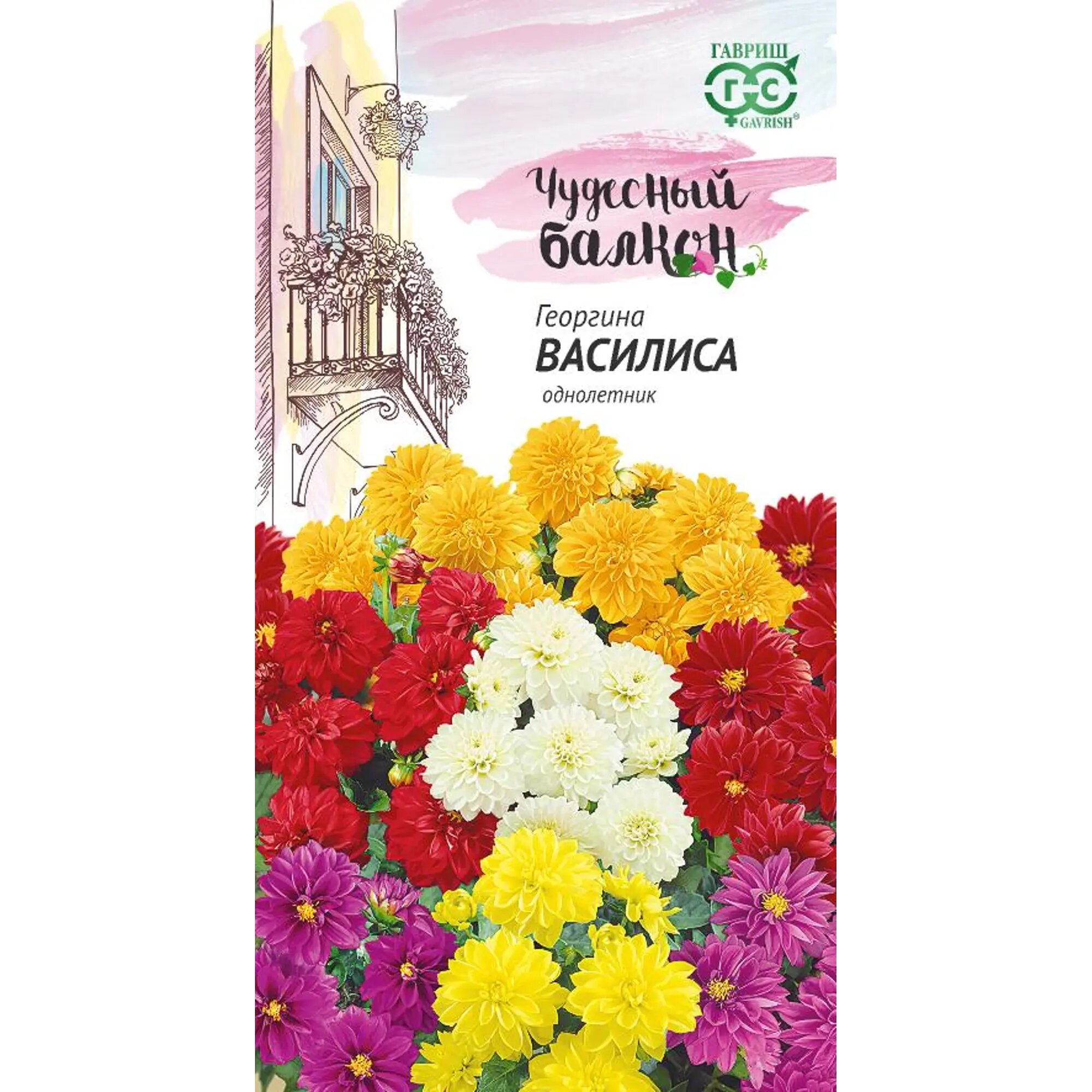 Георгина Василиса семена сорта для пышного цветения, яркой клумбы и устойчивости