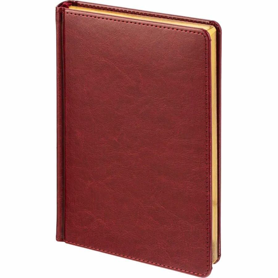 Ежедневник датированный 2026 А5+ SIDNEY NEBRASKA борд, золот обрез