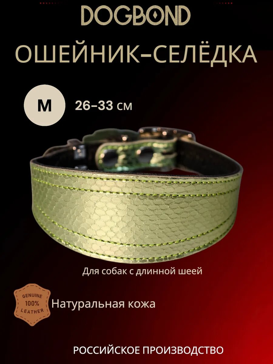Dogbond ошейник-селедка для малых и средних пород