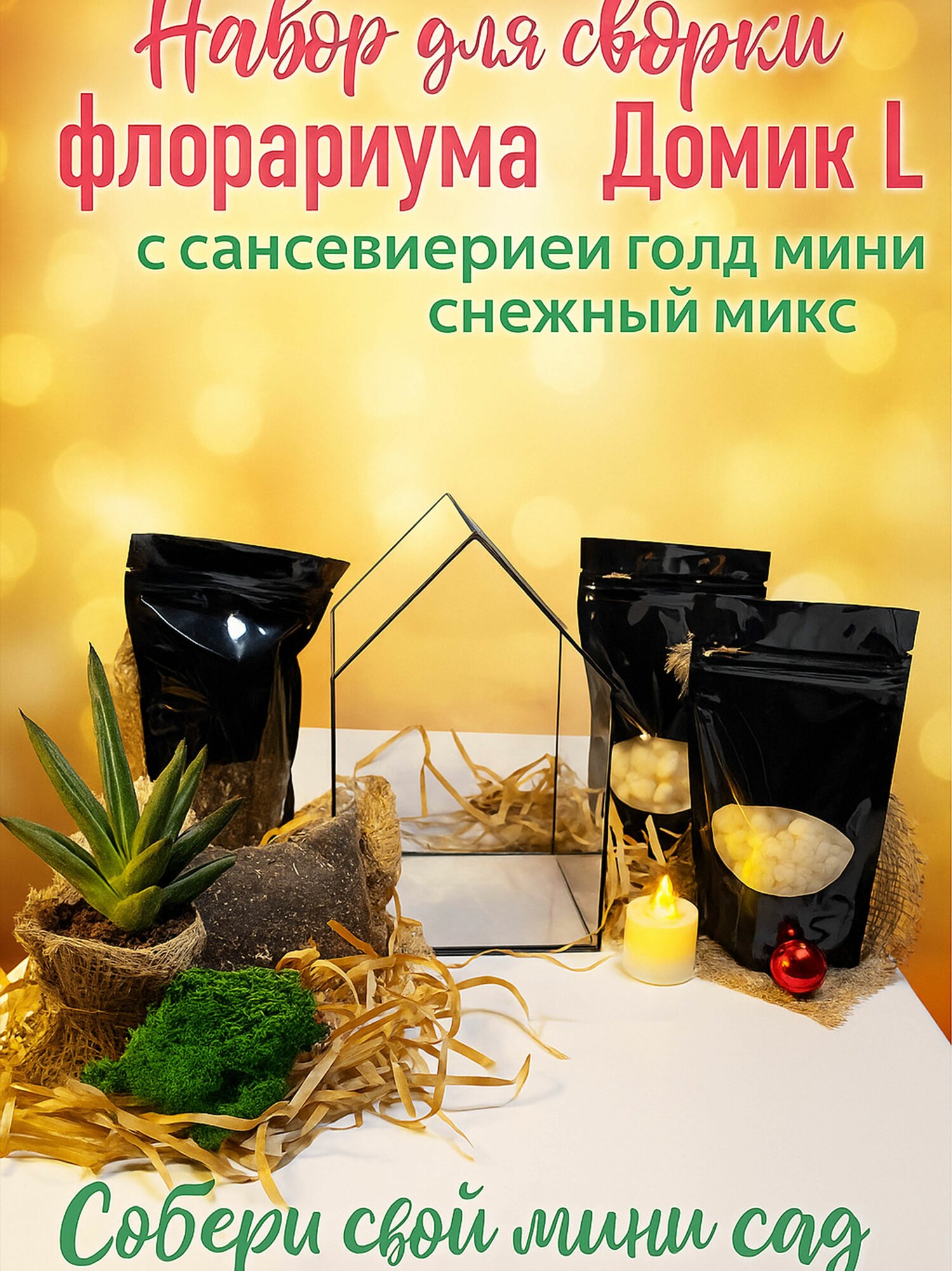 Набор для сборки флорариума Домик L с сансевиерией голд мини снежный микс