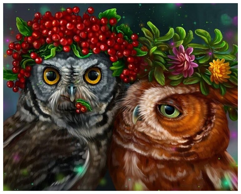 Алмазная мозаика Colibri Две совы 40х50 см