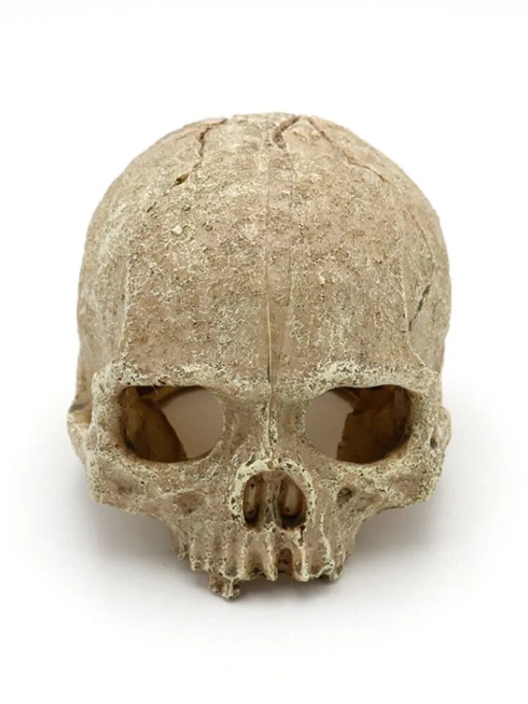 Декорация для аквариума и террариума Череп Грот