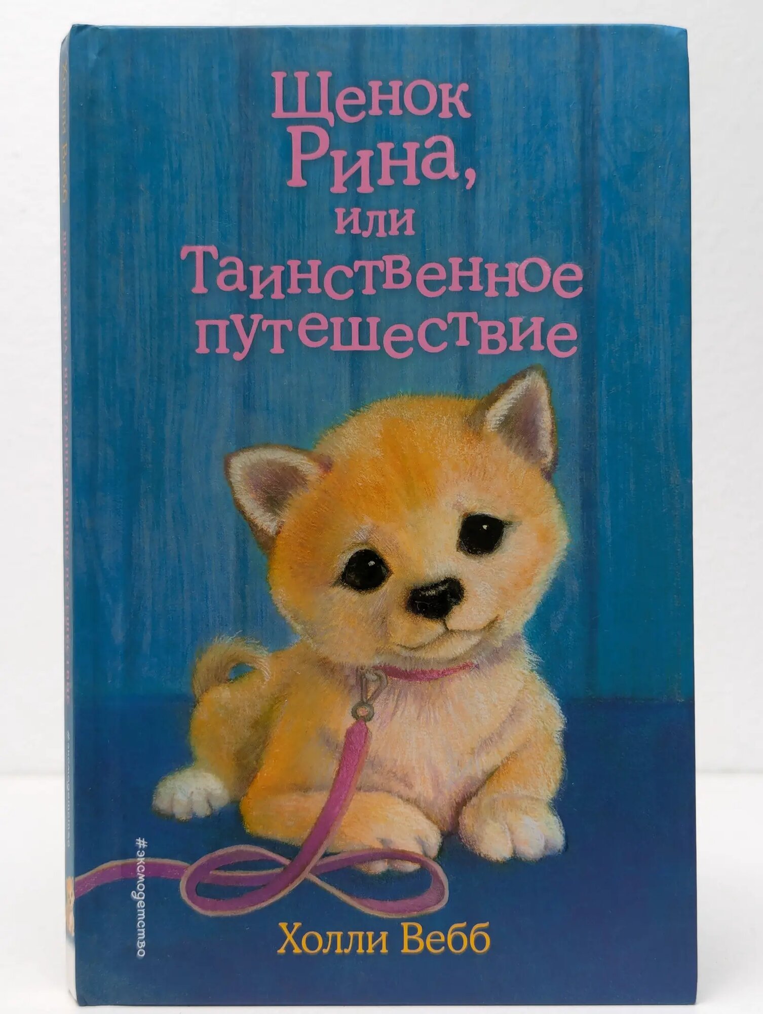 Щенок Рина, или Таинственное путешествие Вебб Холли 2022