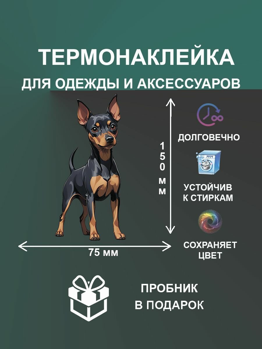 Термонаклейка