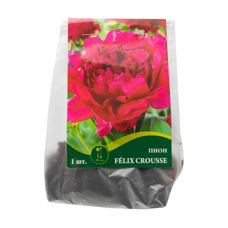 Корень пиона, 1шт, станет настоящим украшением вашего дачного участка, радуя вас пышными и ароматными цветами каждый год, создадут атмосферу романтики и умиротворения в вашем саду.