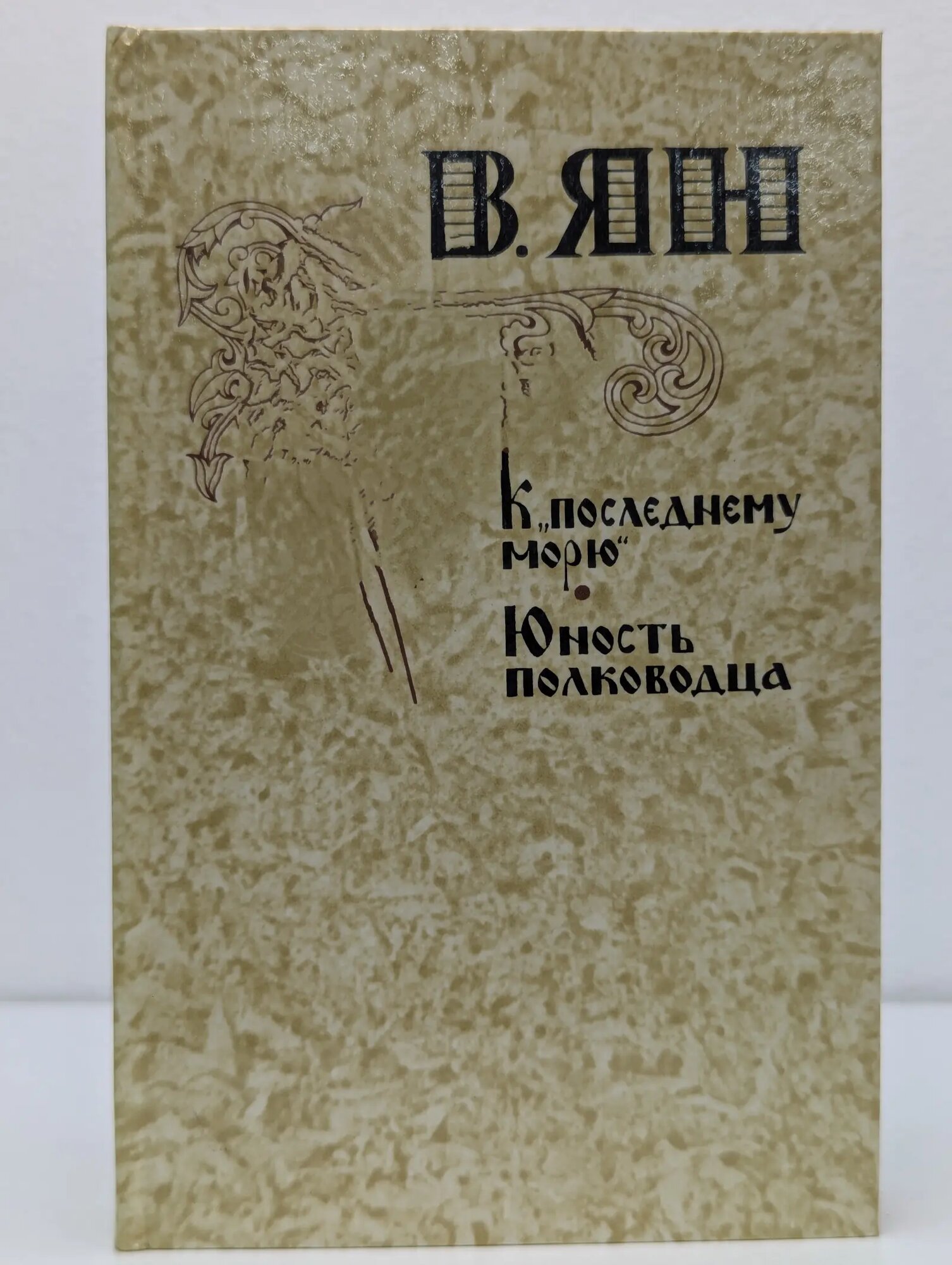 К "последнему морю". Юность полководца Ян Василий Григорьевич 1981