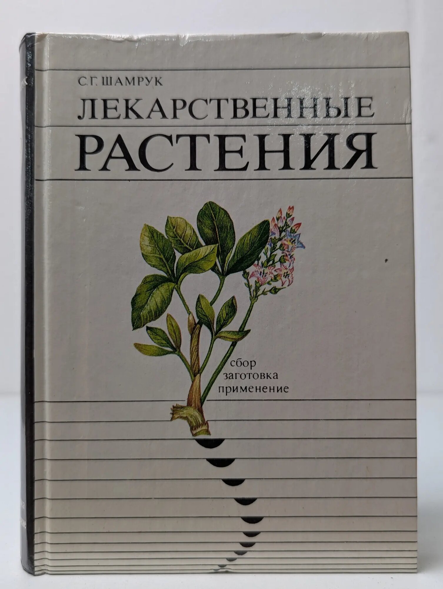 Лекарственные растения: сбор, заготовка, применение Шамрук Сергей Григорьевич 1989