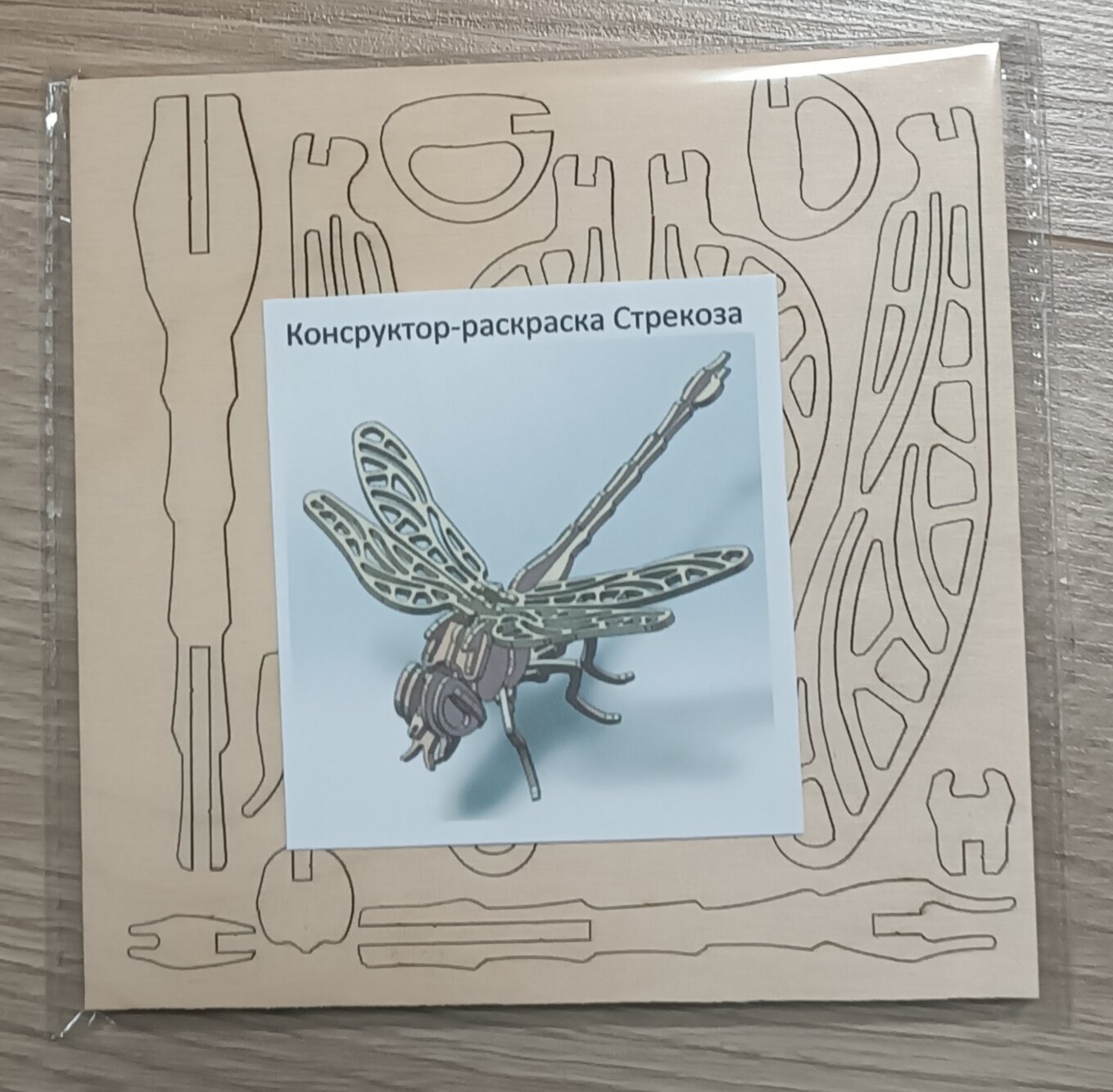 Собираемый конструктор раскраска. Стрекоза.